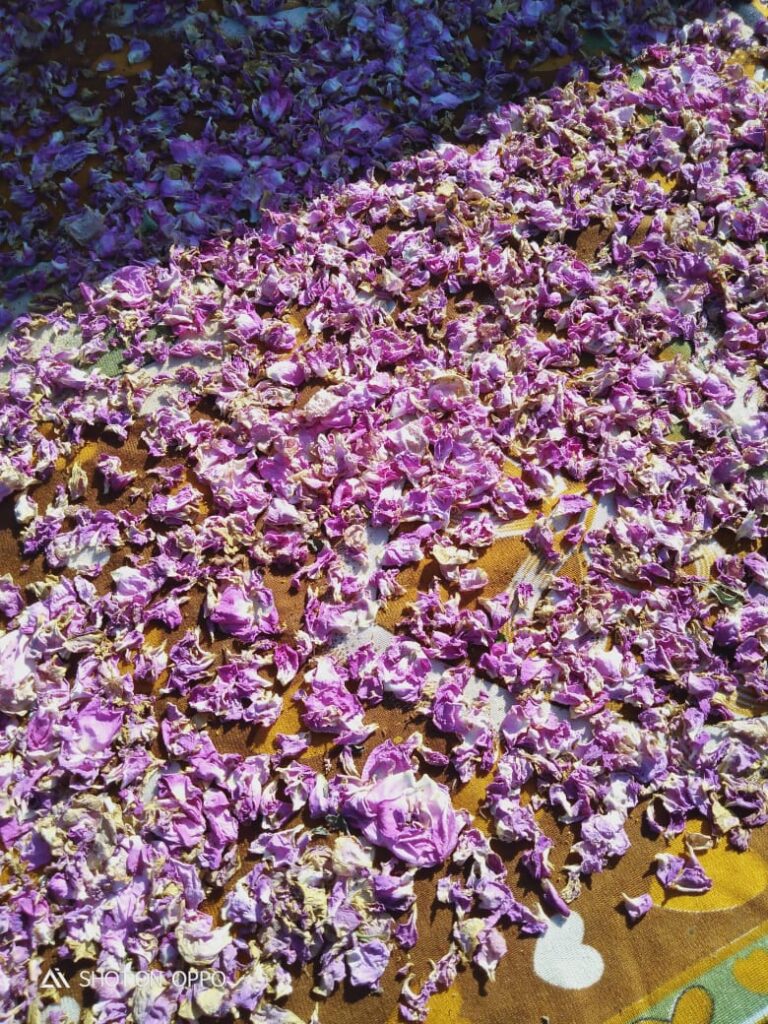 Edible Damask Rose Water - Homegrown Platter